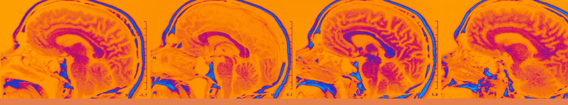 Picture Archiving and Communication System (PACS) - OCINet